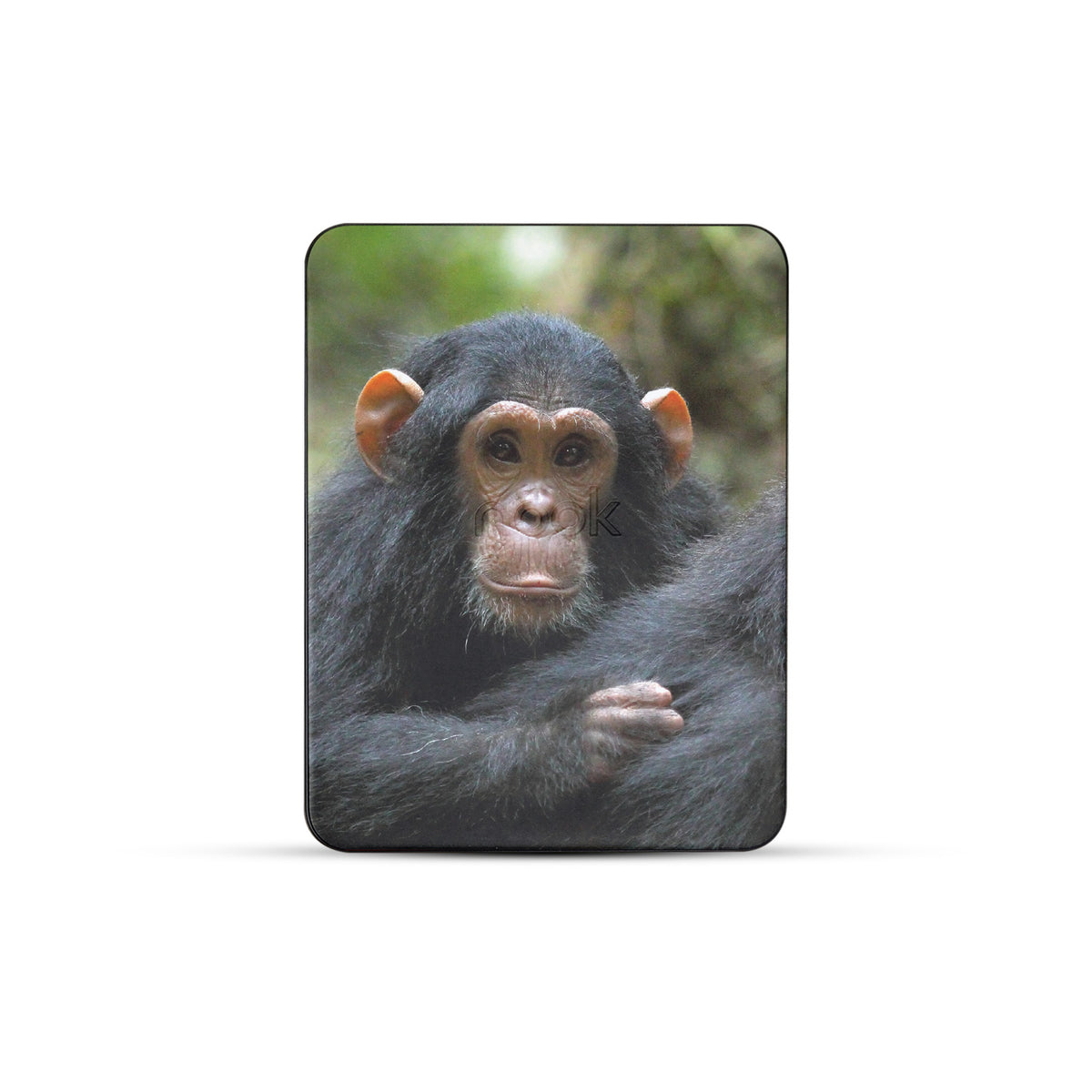 Baby Chimp Skin For Barnes & Noble Nook GlowLight 4 (2021) — MightySkins