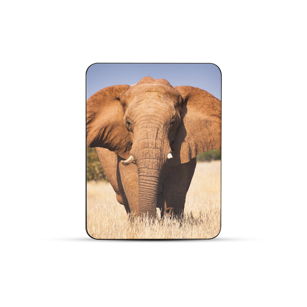 Elephant Skin For Barnes & Noble Nook GlowLight 4 (2021) — MightySkins
