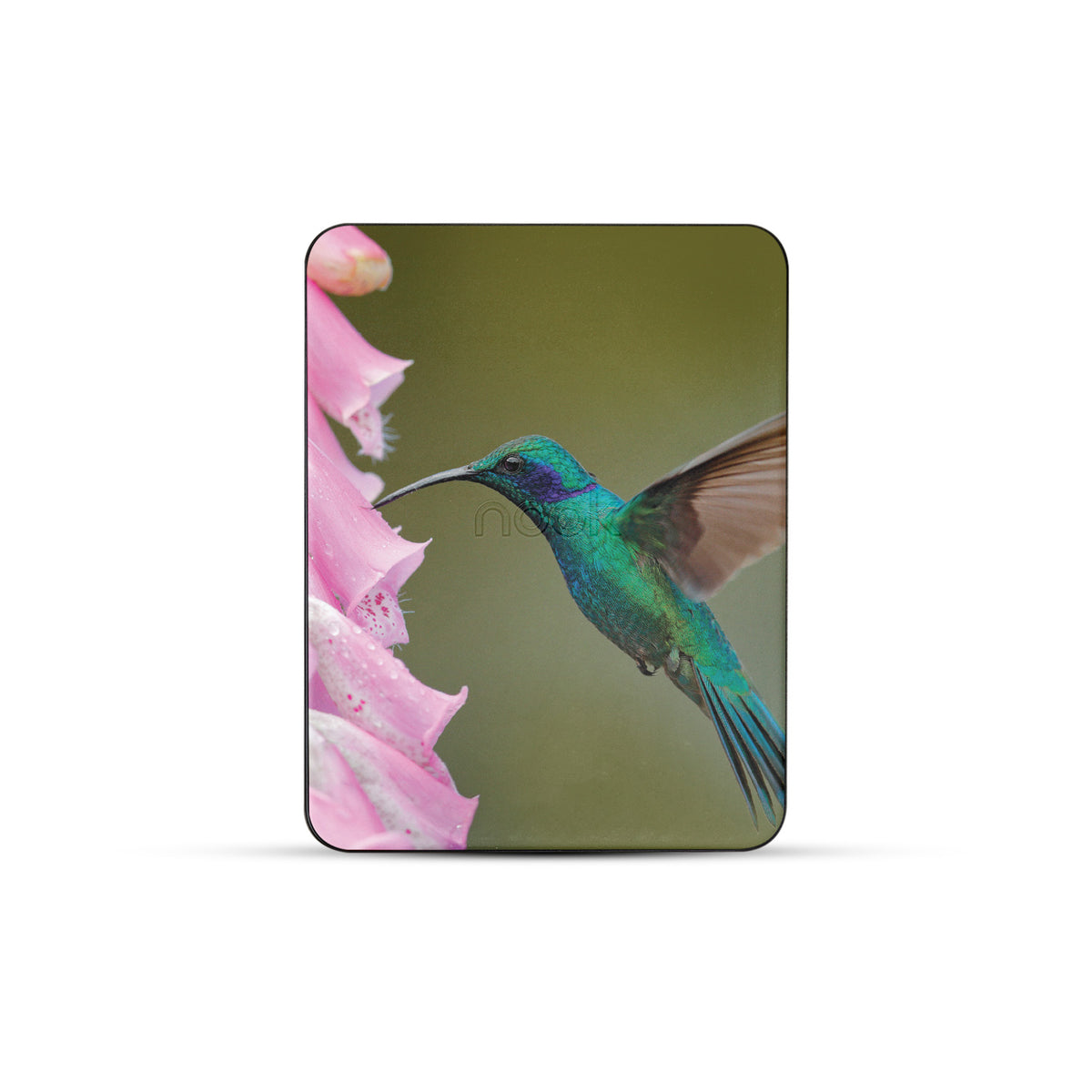 Hummingbird Skin For Barnes & Noble Nook GlowLight 4 (2021) — MightySkins