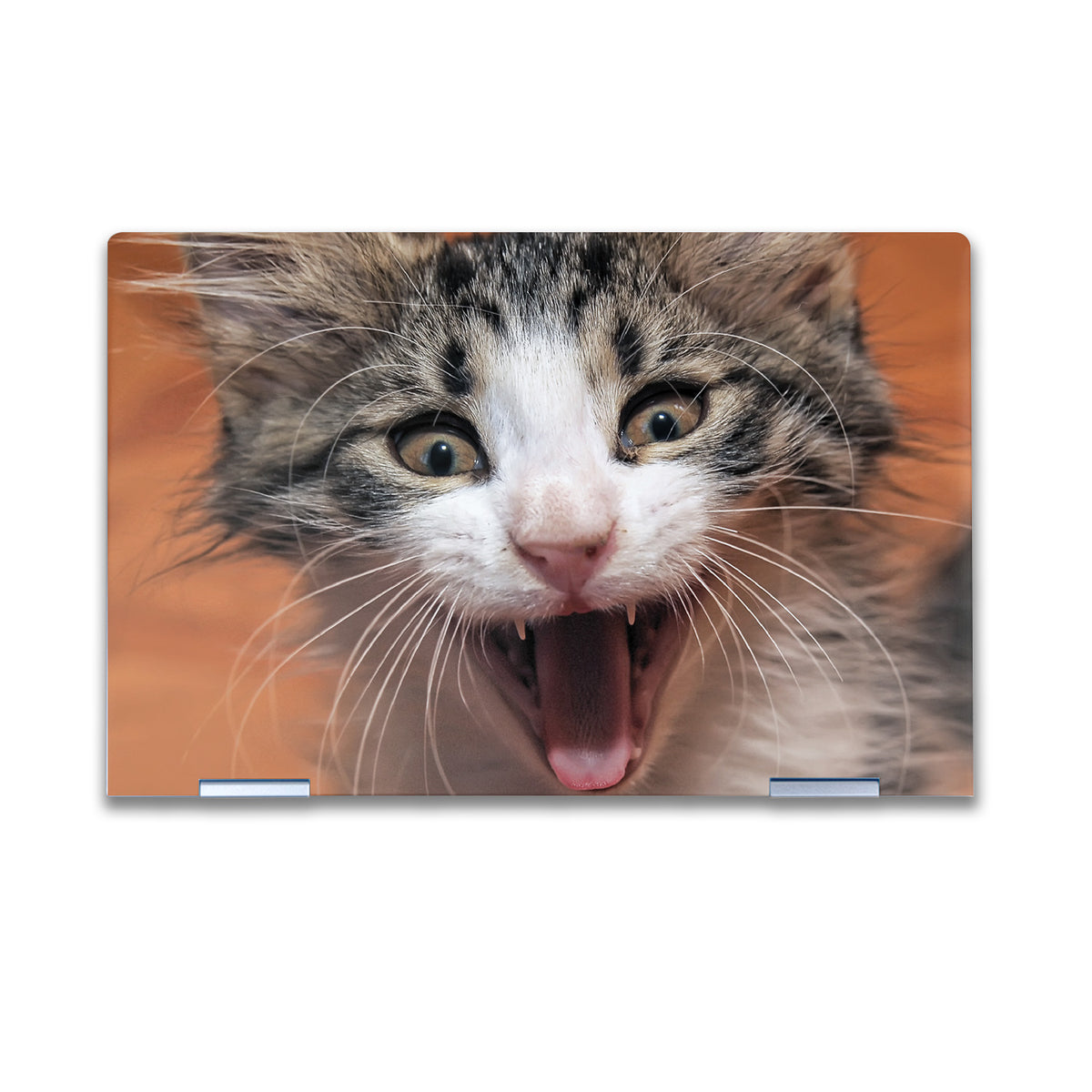 Lol Cat Skin For HP Envy x360 14" (2023) — MightySkins