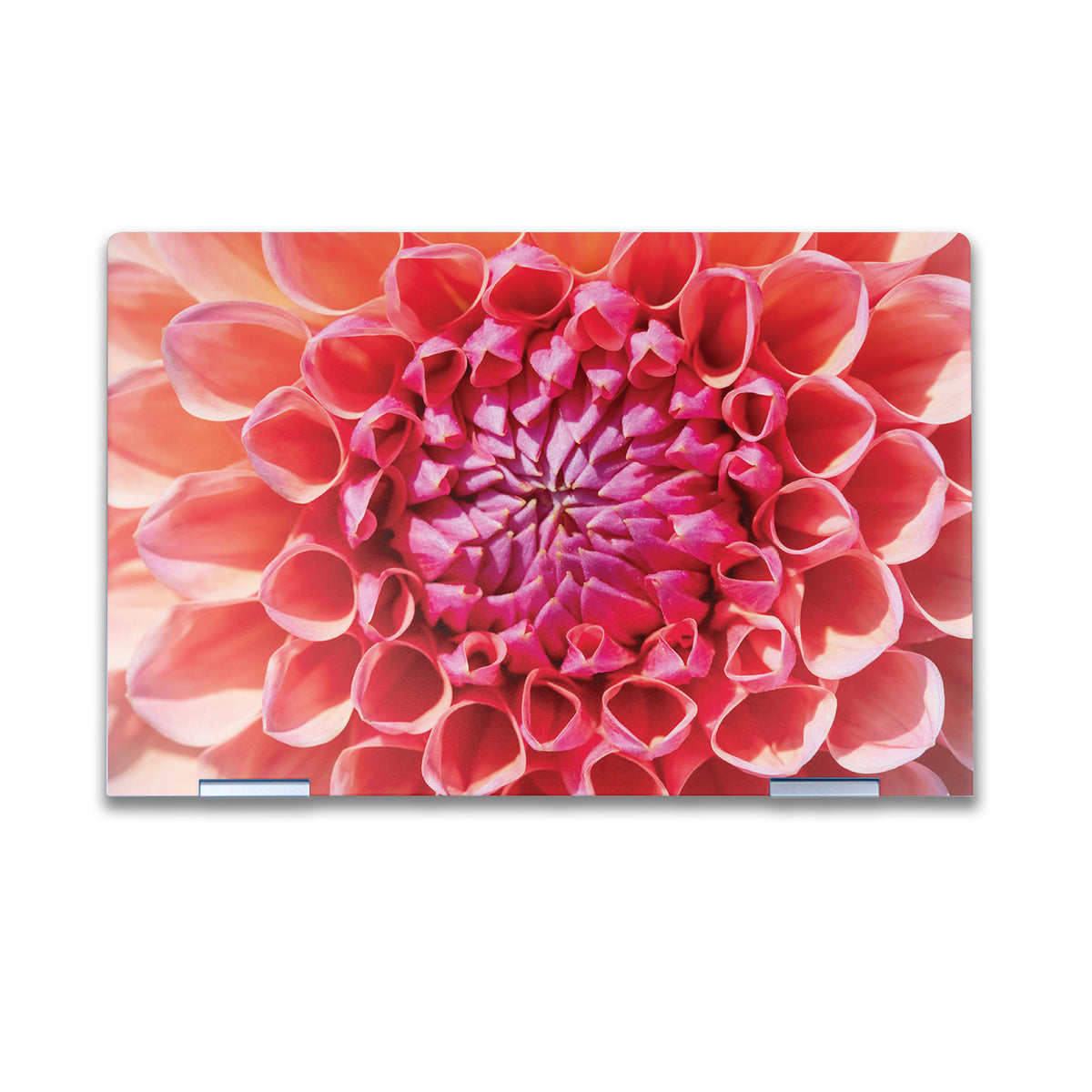 Mum Closeup Skin For HP Envy x360 14" (2023) — MightySkins