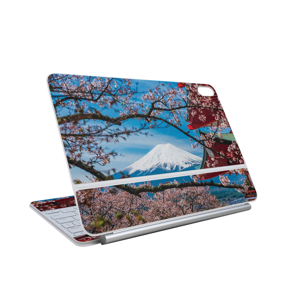 Overlooking Fuji — MightySkins