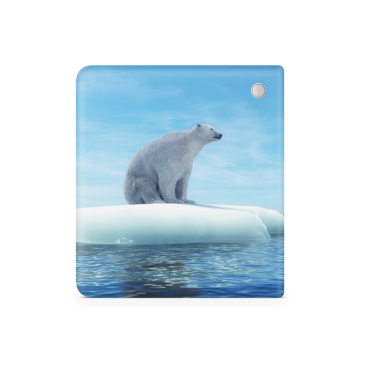 Polar Drift Skin For Kobo Libra 2 (2023) — MightySkins