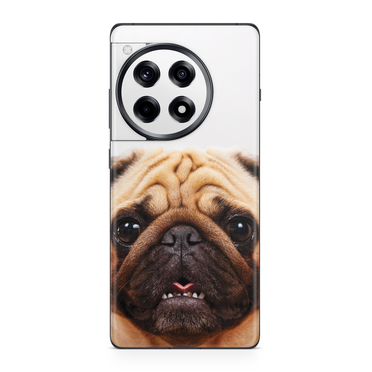 Pug Skin For OnePlus 12R (2024) — MightySkins