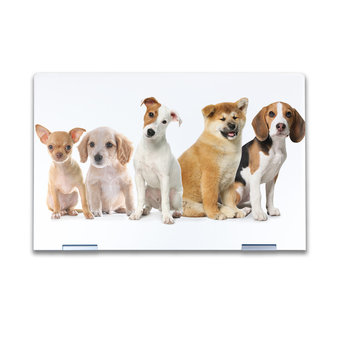 Puppy Posse Skin For HP Envy x360 14" (2023) — MightySkins