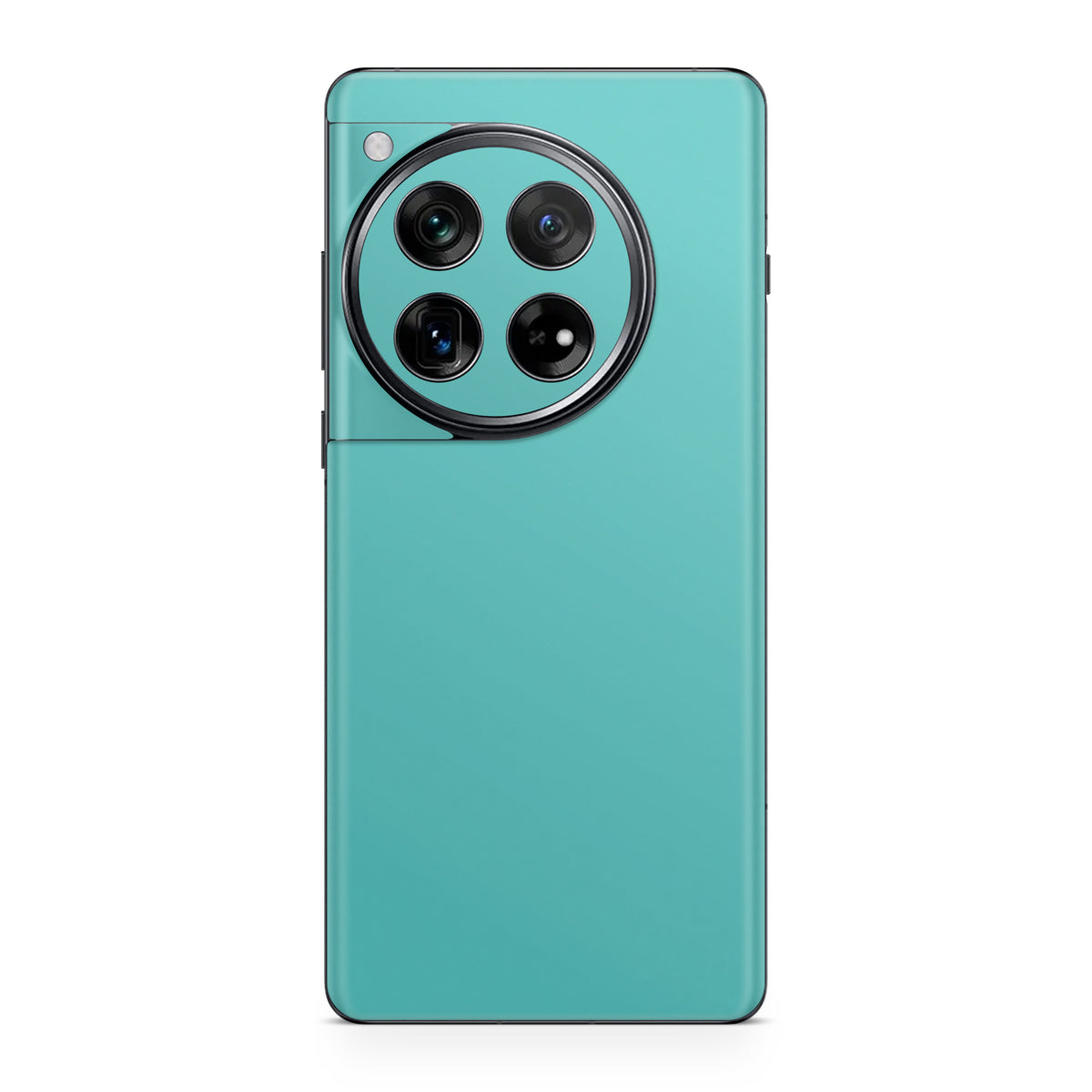 Solid Turquoise Skin For OnePlus 12 (2024) — MightySkins