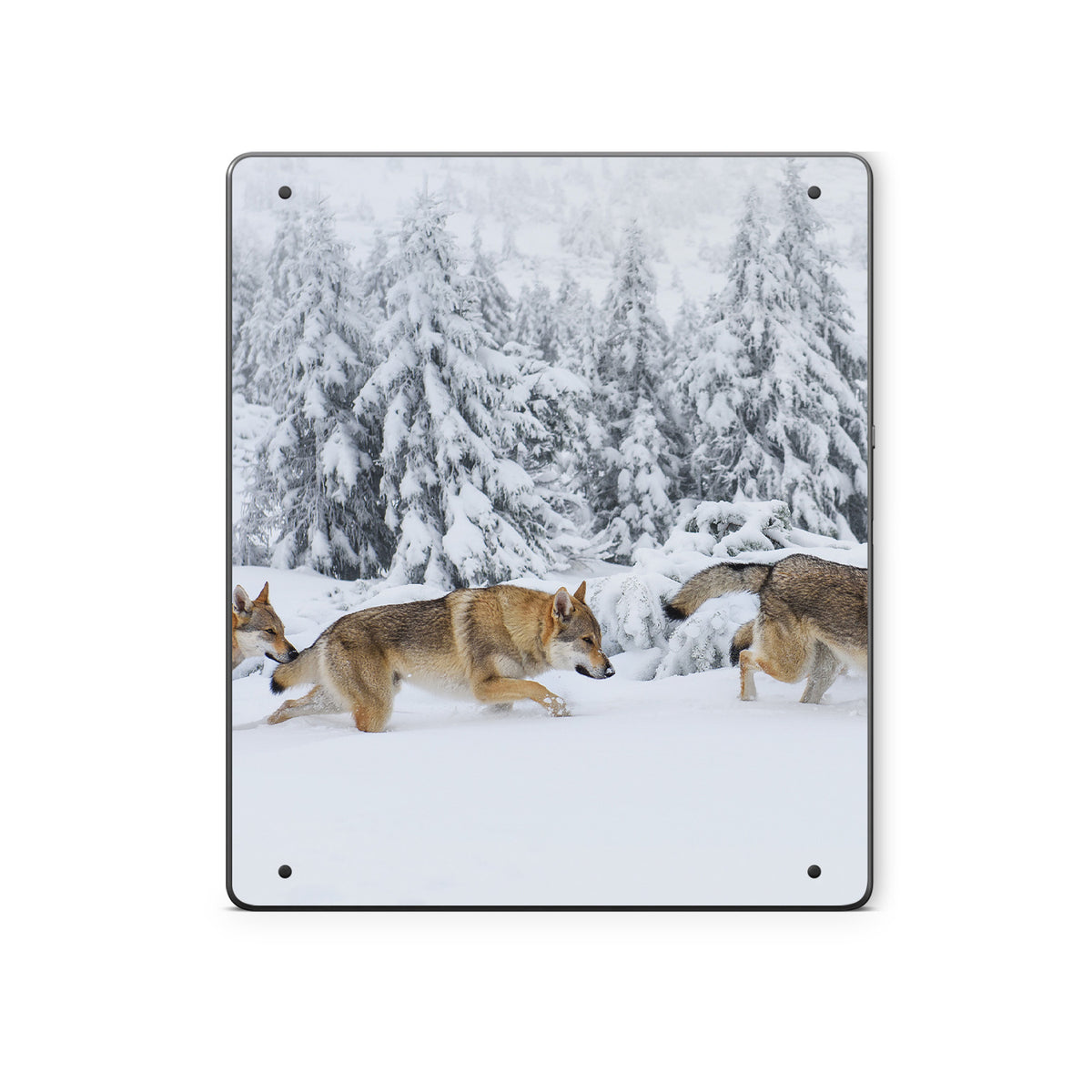 Wolf Pack Skin For Amazon Kindle Scribe 2 (2024) — MightySkins