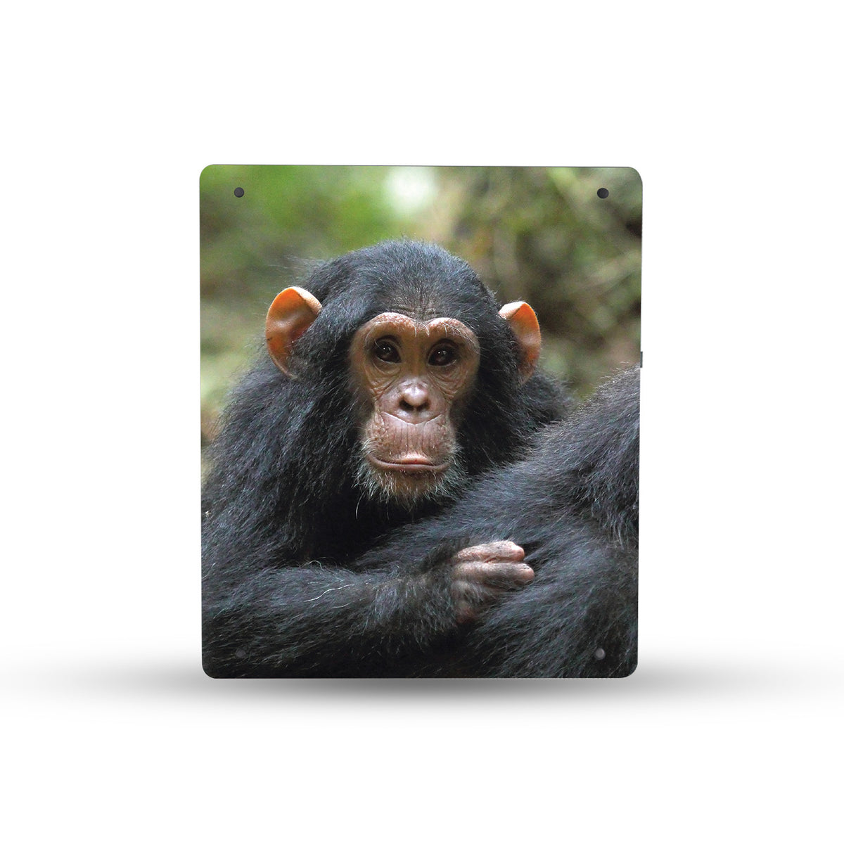 Baby Chimp Skin For Amazon Kindle Scribe (2022) — MightySkins