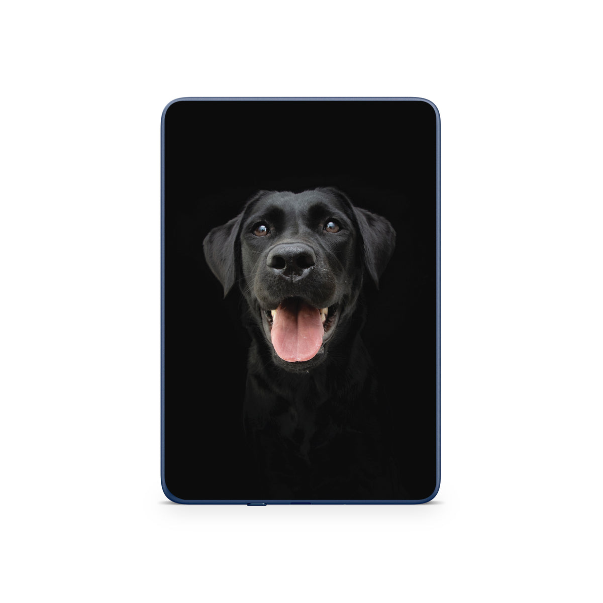 Black Lab Skin For Amazon Kindle 6-inch 11th Gen (2022) — MightySkins