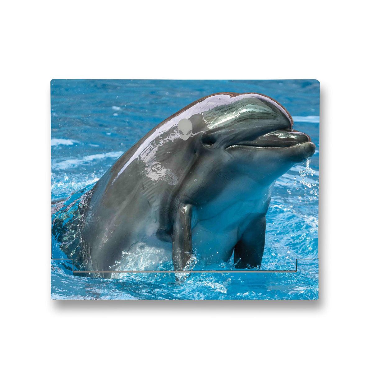 Dolphin Greeting Skin For Alienware X14 R2 (2023) — MightySkins