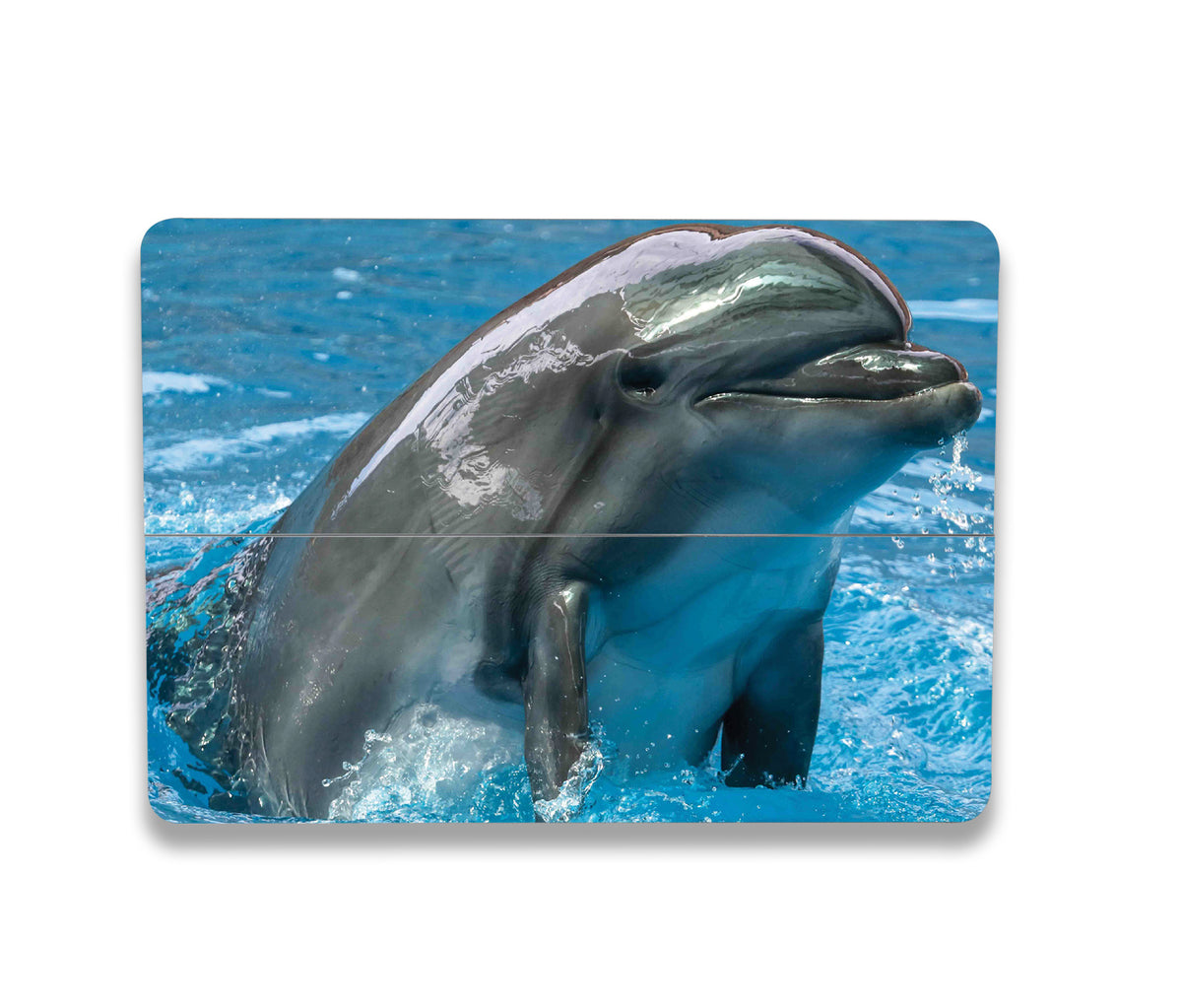 Dolphin Greeting Skin For Microsoft Surface Laptop Studio 2 (2023 ...