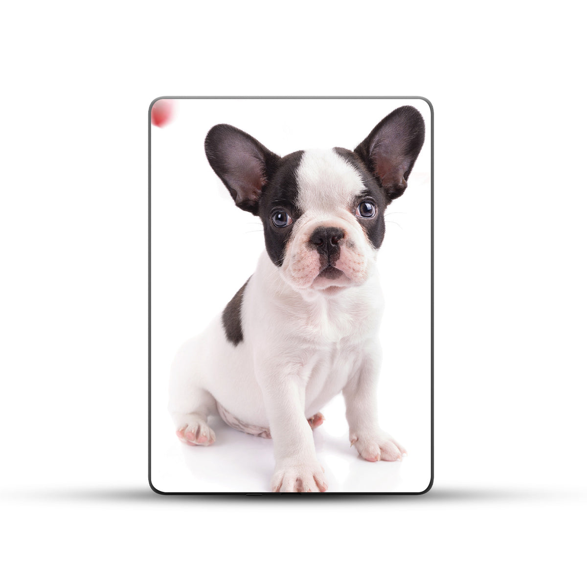 Furry Frenchie Skin For Amazon Kindle Paperwhite 5 6.8-inch 11th Gen ...