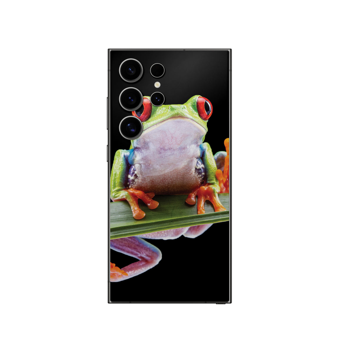 Hangin Tree Frog Skin For Samsung Galaxy S24 Ultra — MightySkins