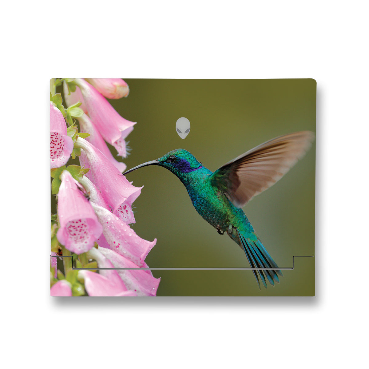 Hummingbird Skin For Alienware X14 R2 (2023) — MightySkins
