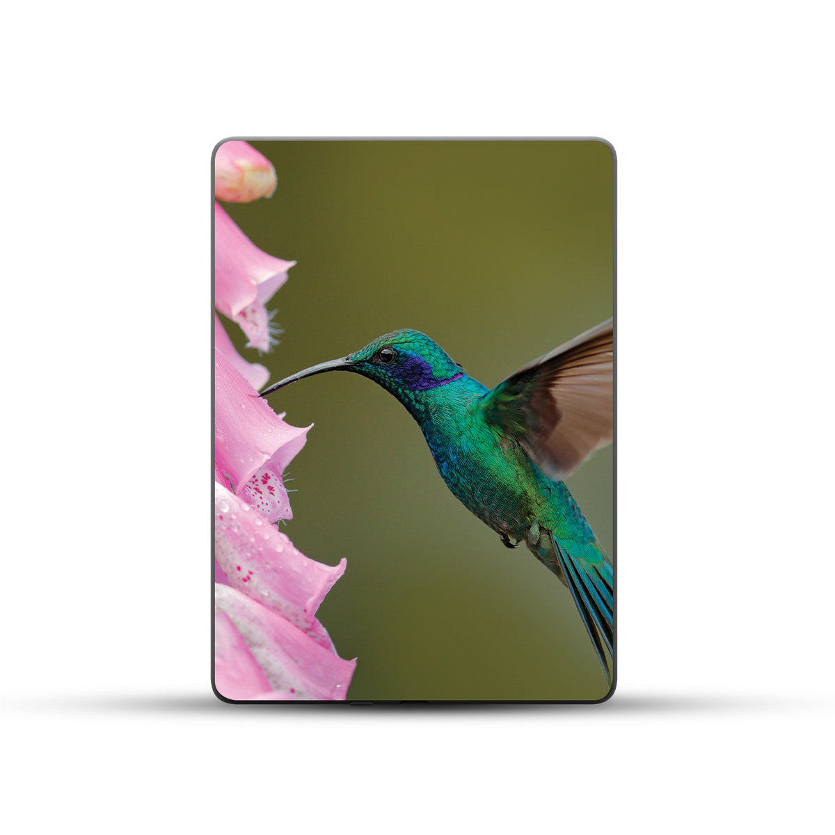 Hummingbird Skin For Amazon Kindle Paperwhite 5 6.8-inch 11th Gen (2021 ...