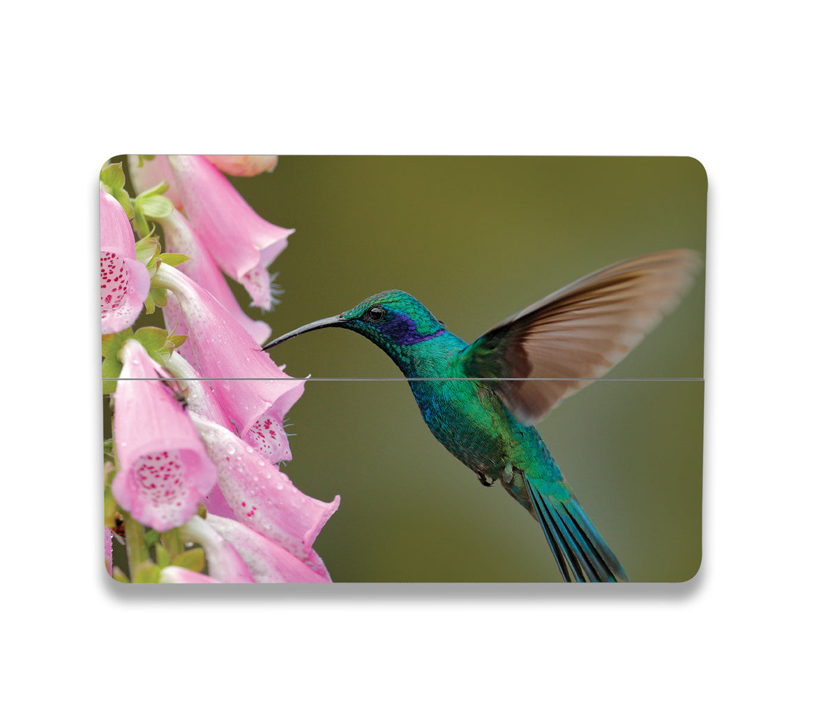 Hummingbird Skin For Microsoft Surface Laptop Studio 2 (2023) — MightySkins