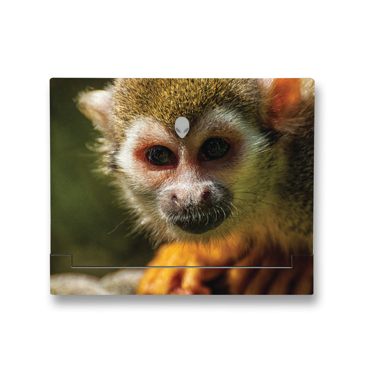 Squirrel Monkey Skin For Alienware X14 R2 (2023) — MightySkins