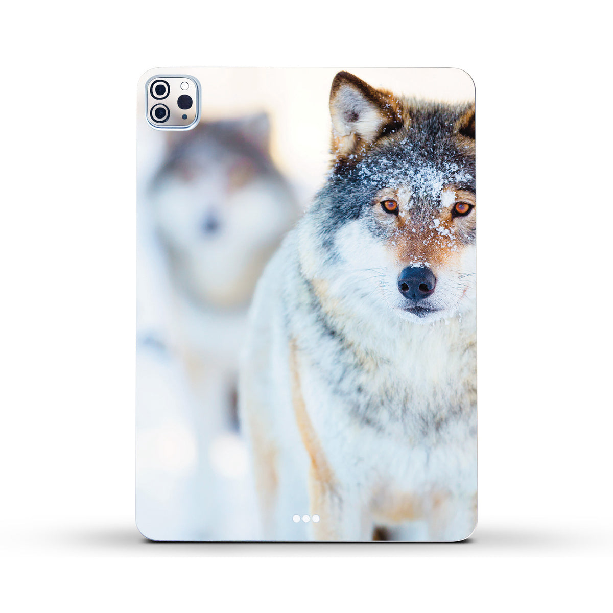 Alpha Wolf Skin For Apple iPad Pro 11" M2 4th Gen (2022) Laptop ...