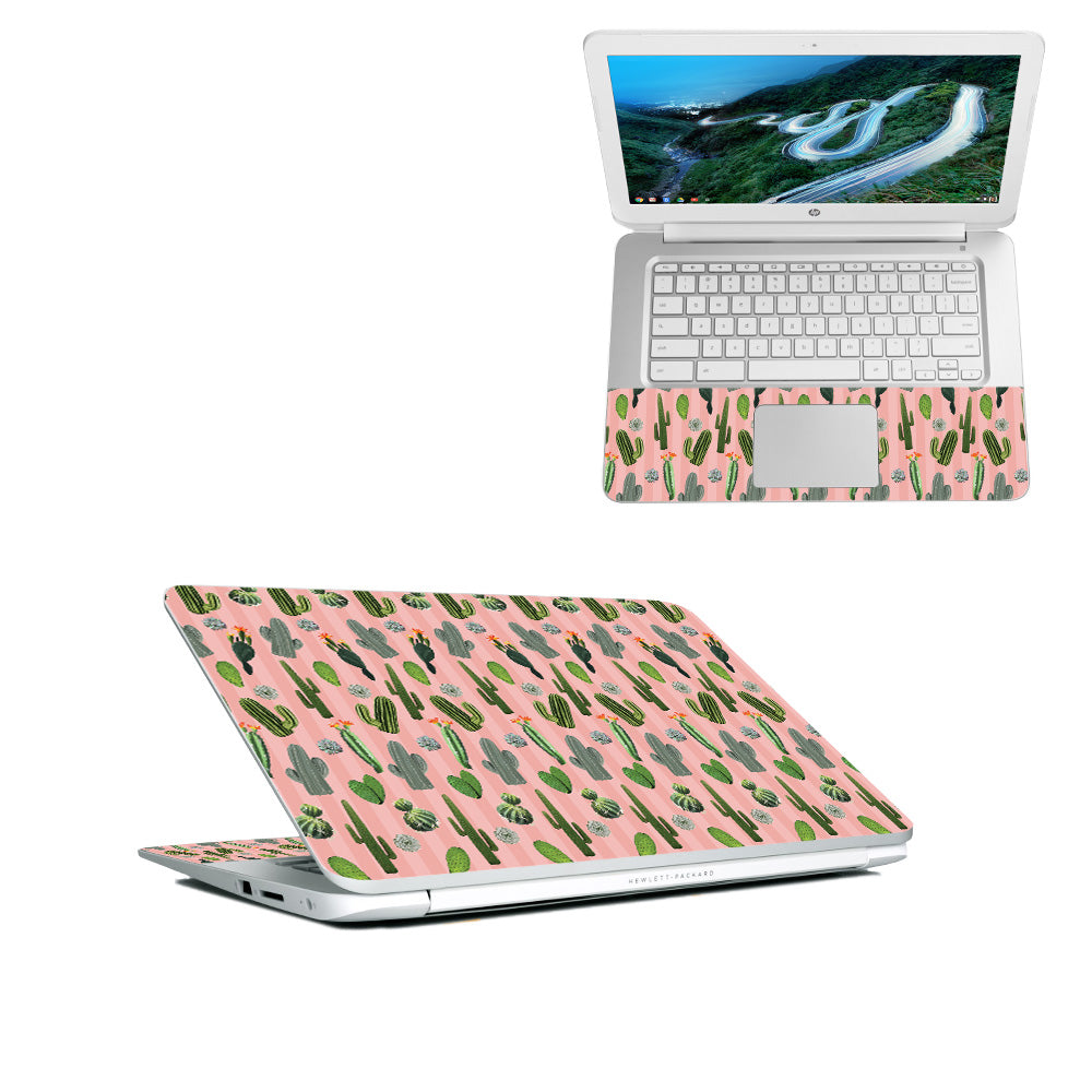 Cactus Garden Skin For Chromebook 14" (2018) — MightySkins