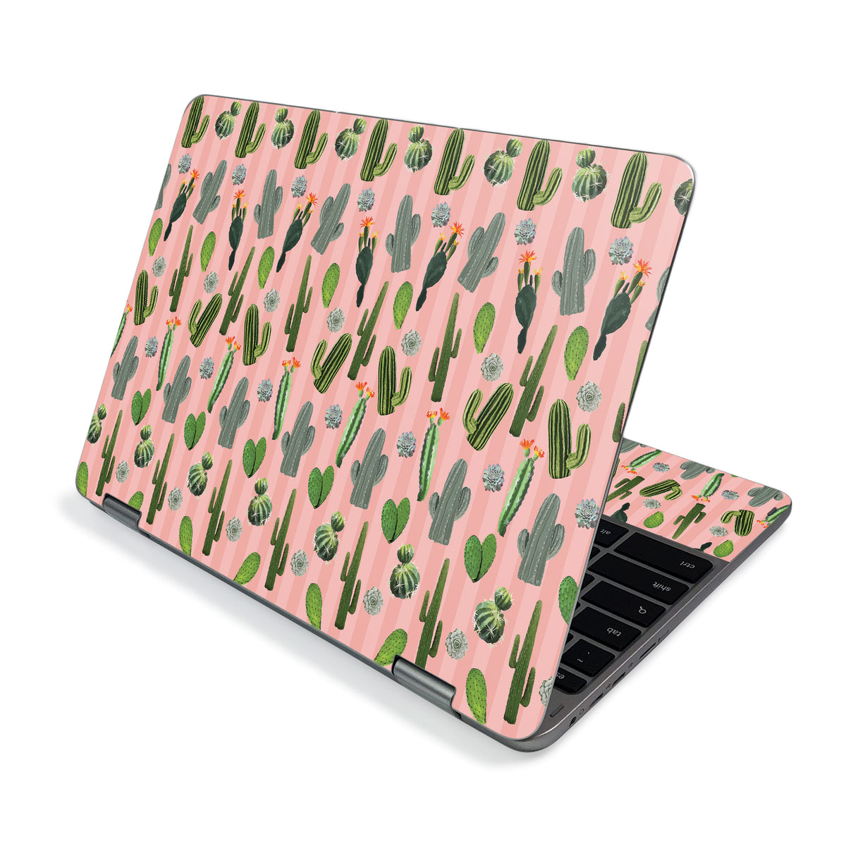 Cactus Garden Skin For Chromebook Plus V2 12" (2019) — MightySkins
