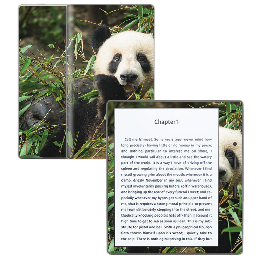Chill Panda Skin For Amazon Kindle Oasis 7" (9th Gen) — MightySkins