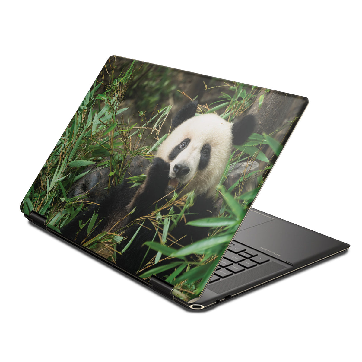 Chill Panda — MightySkins