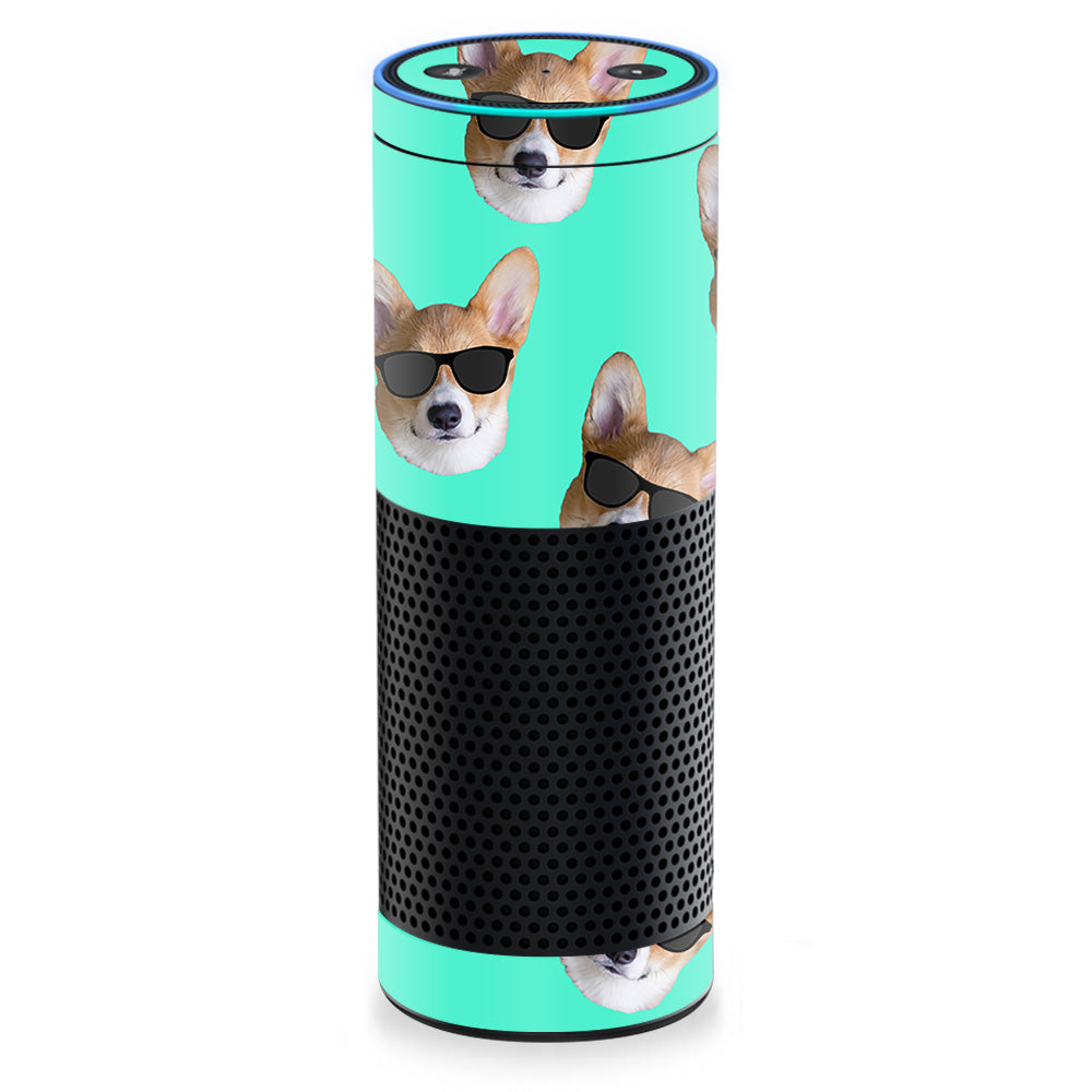 Cool Corgi Skin For Amazon Echo — MightySkins