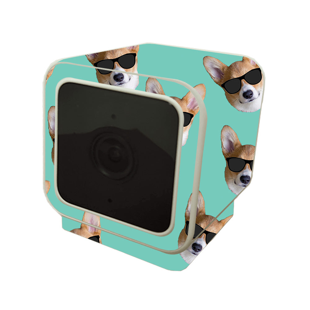 Cool Corgi Skin For Wyze Cam v3 — MightySkins