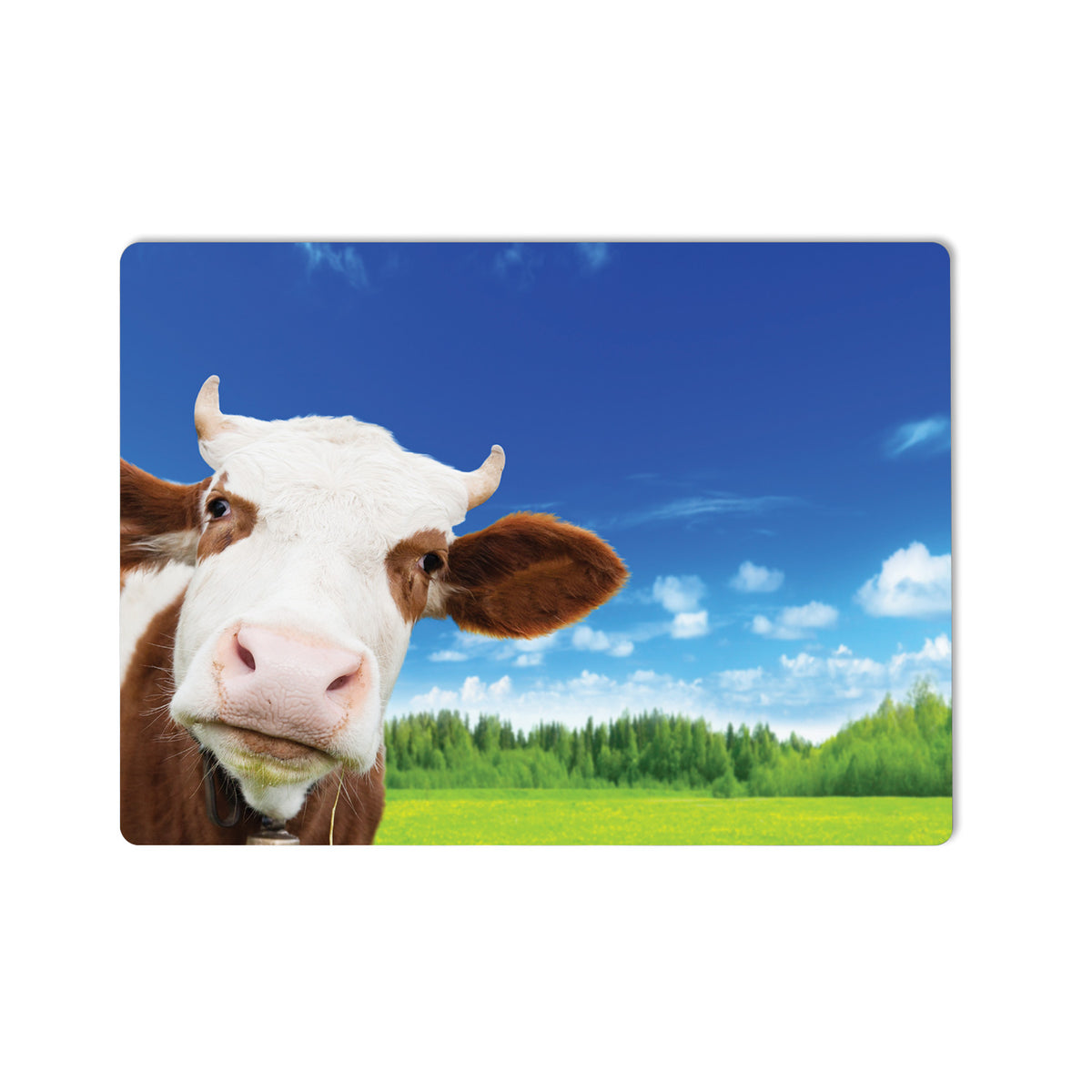 Cow Face Skin For Microsoft Surface Laptop 5 15” Laptop — MightySkins