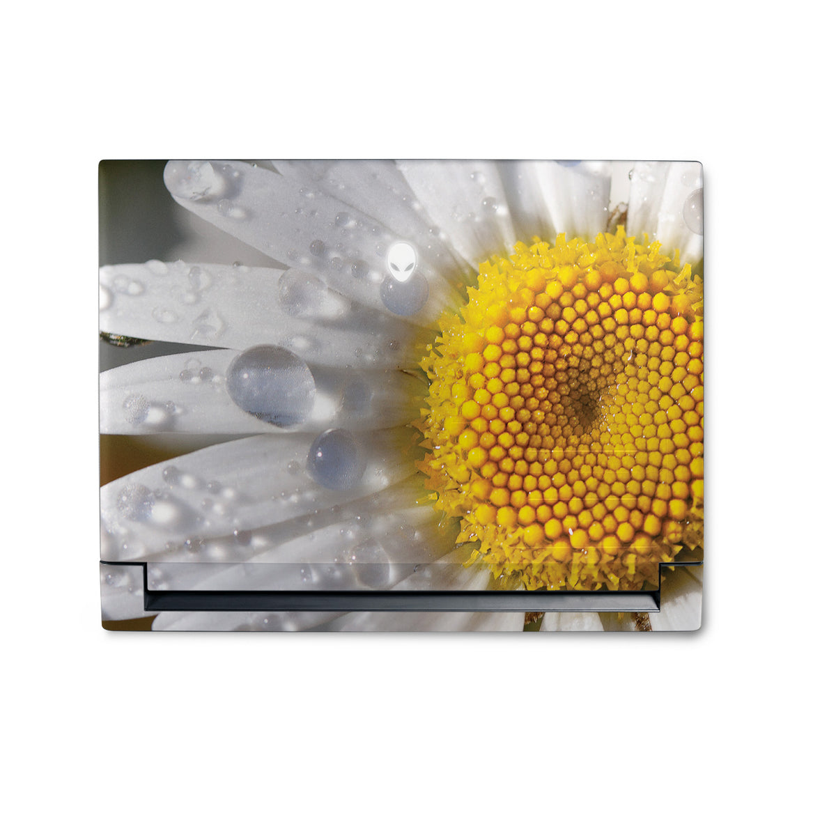 Daisy Skin For Alienware M18 R1 (2023) Laptop — MightySkins