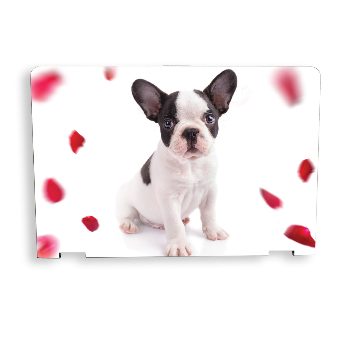 Furry Frenchie Skin For HP Pavilion x360 14 (2021) Laptop — MightySkins