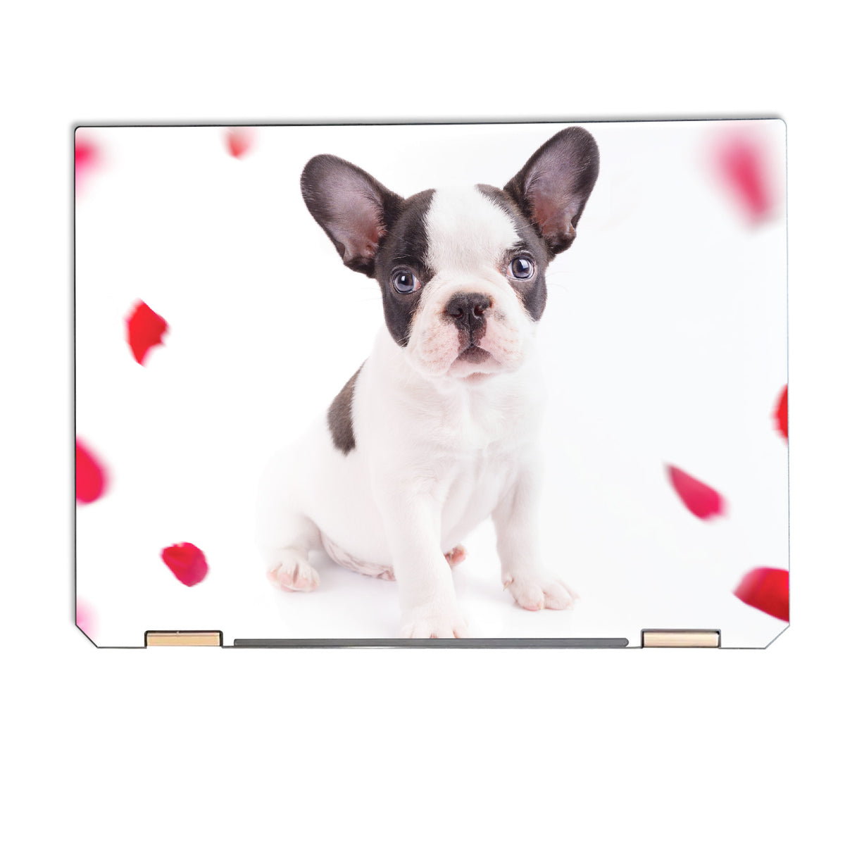Furry Frenchie Skin For HP Spectre X360 16" 2022 Laptop — MightySkins