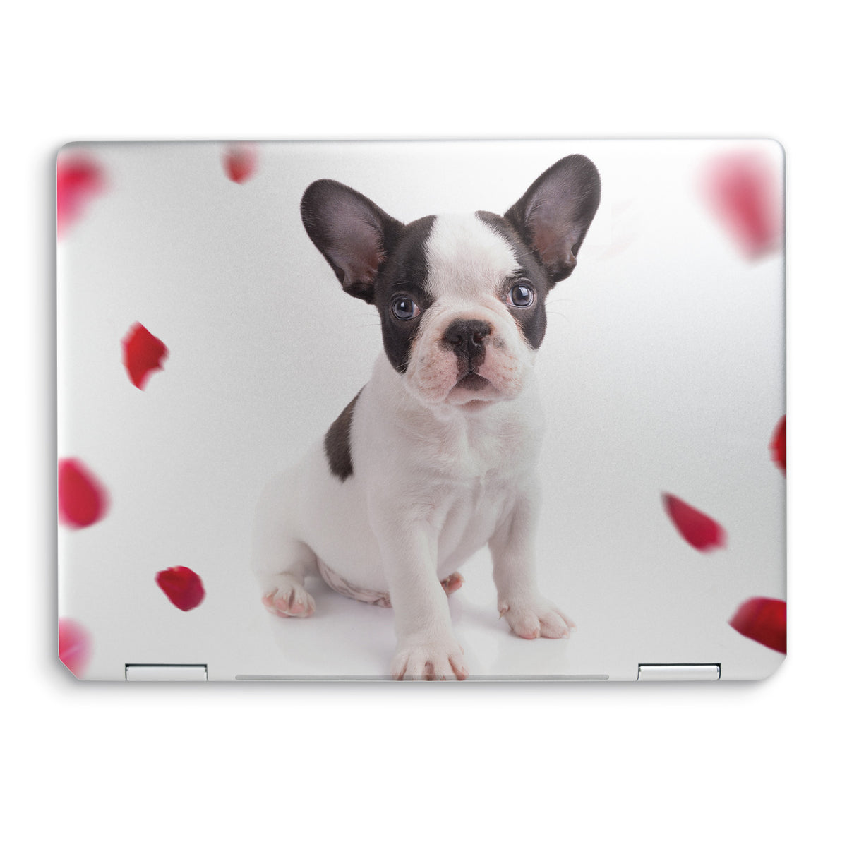 Furry Frenchie Skin For HP Spectre x360 14" (2022) Laptop — MightySkins