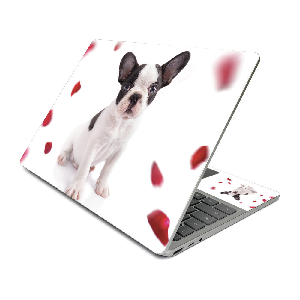 Furry Frenchie Skin For Microsoft Surface Laptop Go (2020) Laptop ...