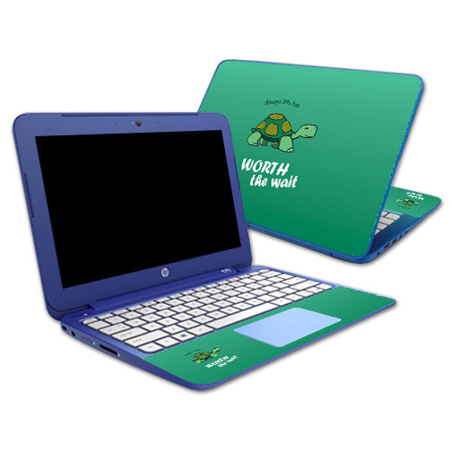 Late Turtle — MightySkins