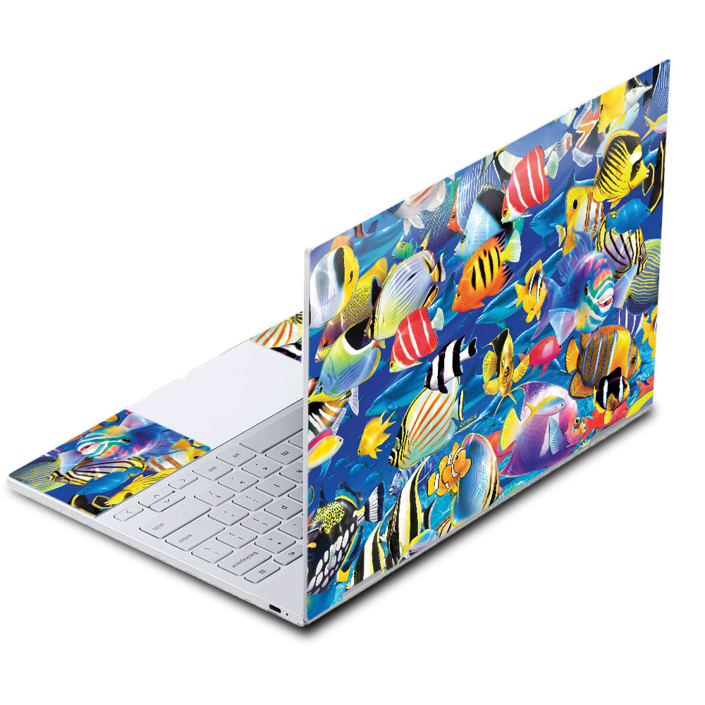 Tropical Fish Skin For Pixelbook — MightySkins