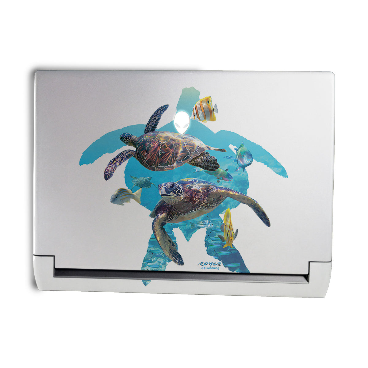 Turtly Cool Skin For Alienware M15 R7 (2022) Laptop — MightySkins